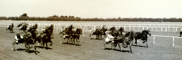 The Trotting Cup Story - Banks Peninsula Trotting Club