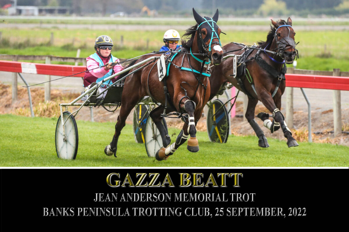 Race Day - Banks Peninsula Trotting Club - Motukarara
